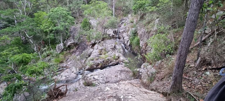 Mt Coot-tha Reserve Cct | 11.0 km Running Route on Strava