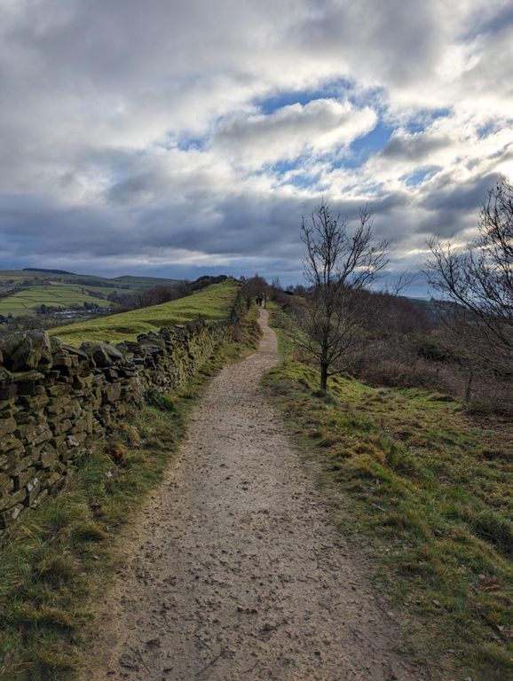 Macc Forest Adventure | 20.1 mi Running Route on Strava