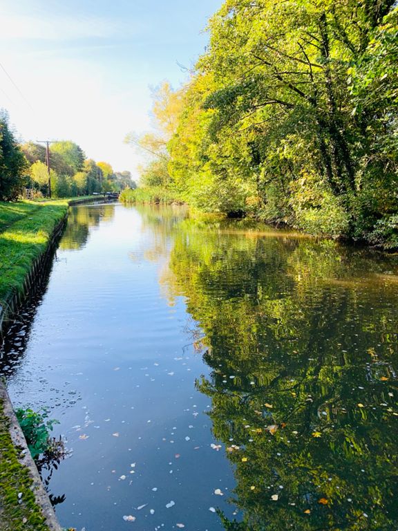 UCC M53 | 43.9 mi Cycling Route on Strava