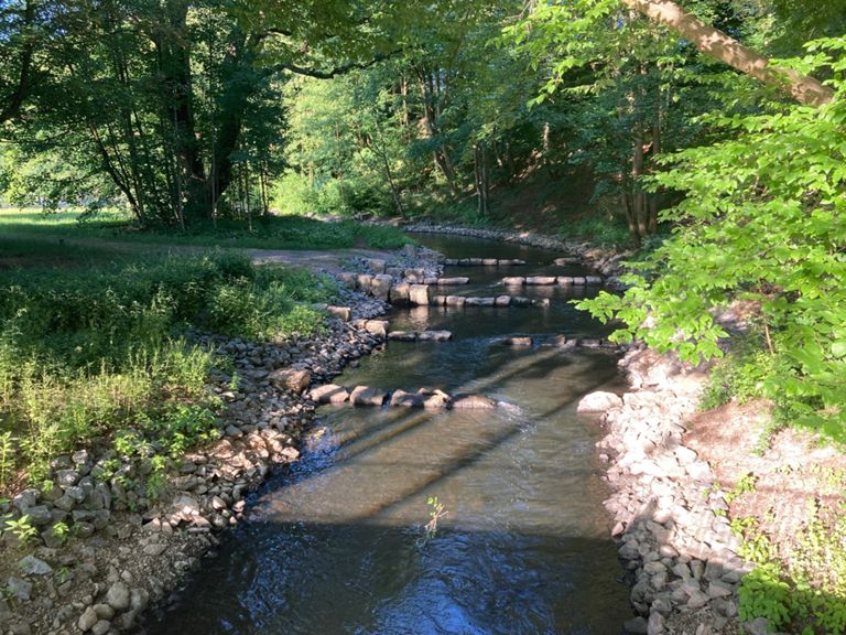 Ryzon Tribe GRVL | Matsch-Moor-Gravel | 65.6 km Cycling Route on Strava