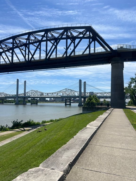 TDDO 38 - 2024 | 38.0 mi Cycling Route on Strava