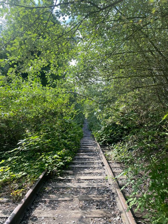 South lake Washington loop | 23.6 mi Cycling Route on Strava