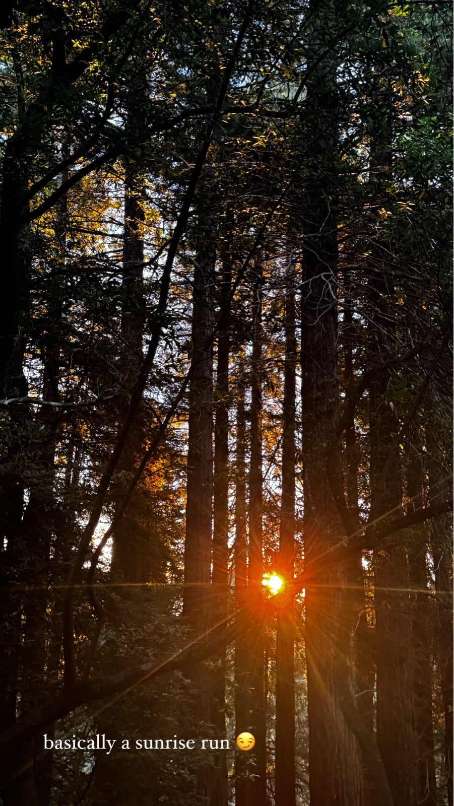 Phoebe Markle | Strava Runner Profile