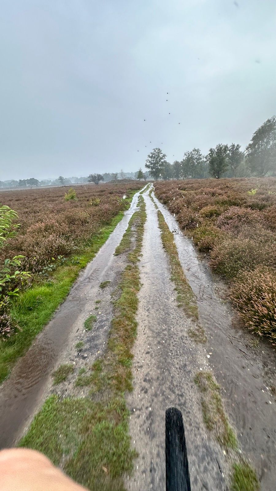 Jay de Groot | Strava Cyclist Profile