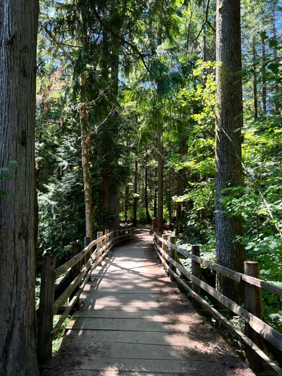 Galbraith Mountain Beginner Loop | 5.2 mi Mountain Biking Trail on Strava