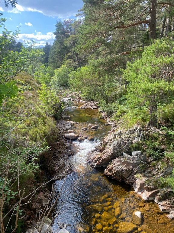 West to East beast | 345.7 km Cycling Route on Strava