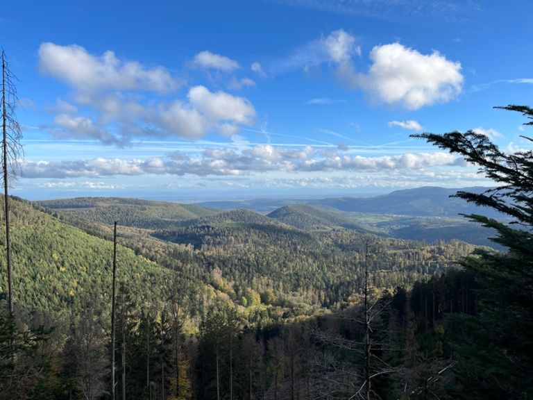 Etape 2 trail vosges | 27.9 km Running Route on Strava
