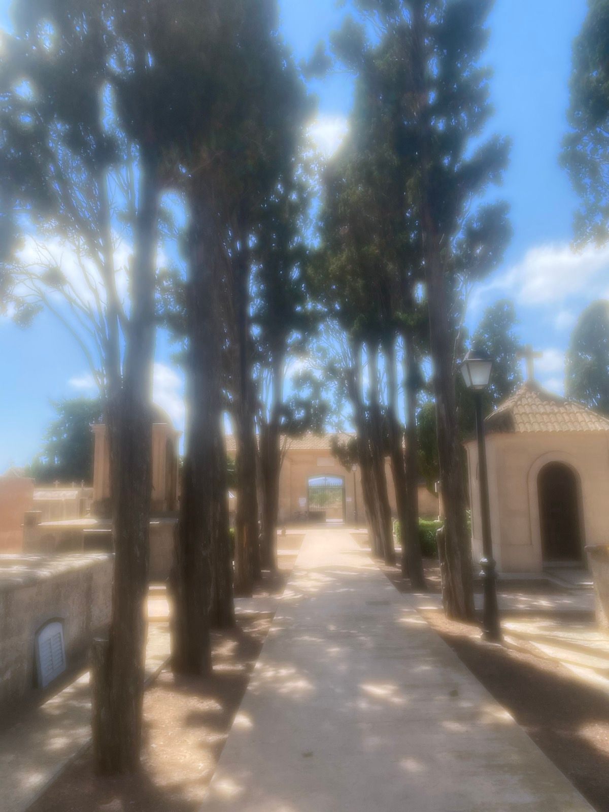 Bruce Strang | Strava Cyclist Profile