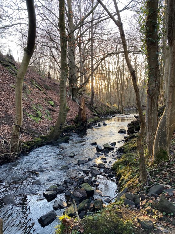 Meanwood Shadwell runners on tour | 7.3 km Running Route on Strava