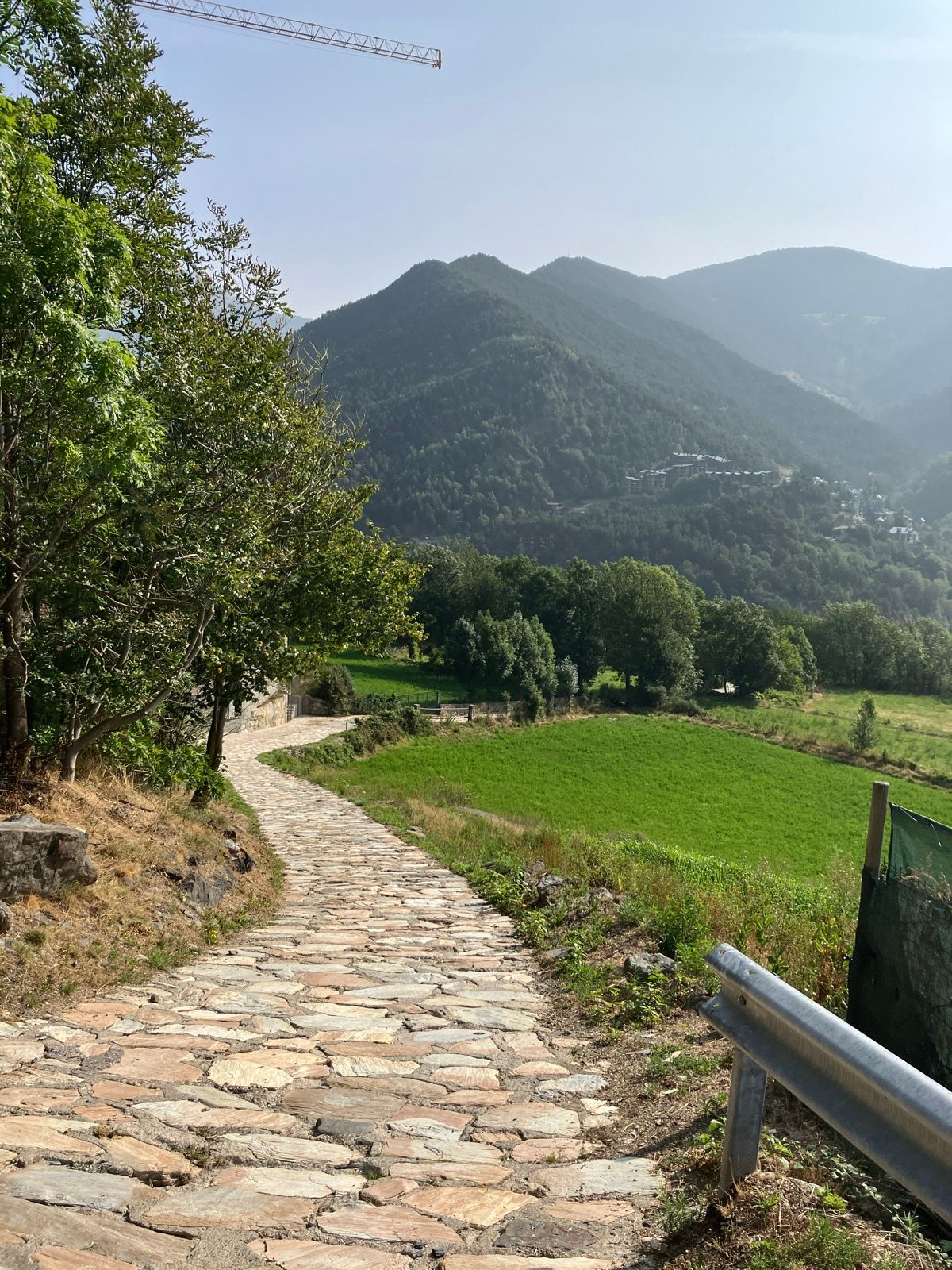 Ans Post | Strava 自行車手的個人檔案