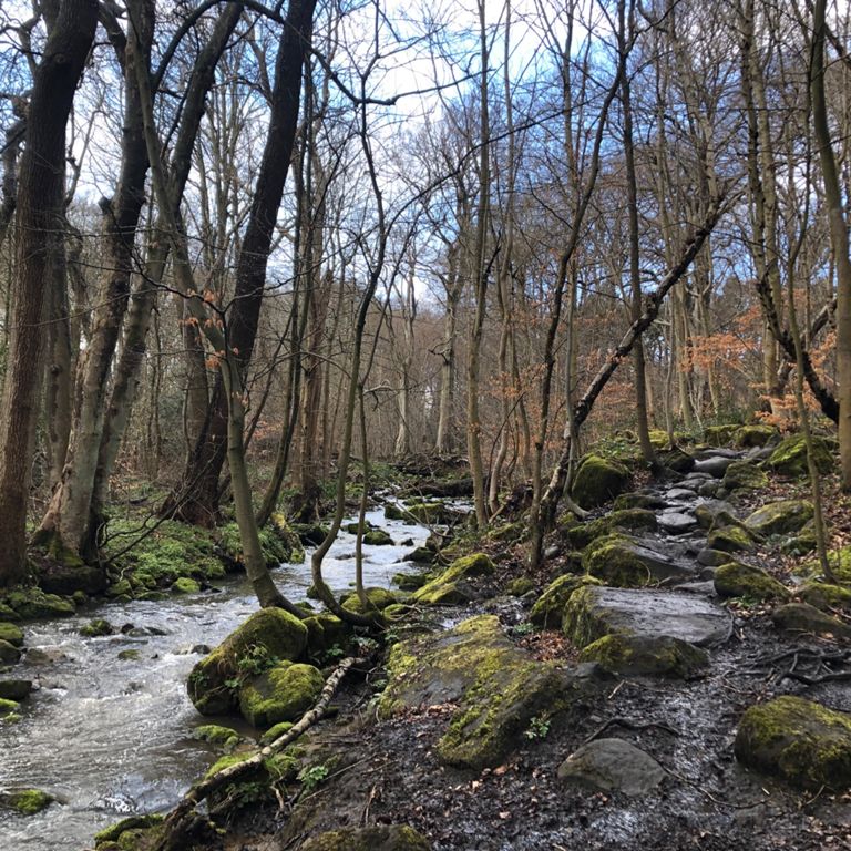Meanwood Shadwell runners on tour | 7.3 km Running Route on Strava