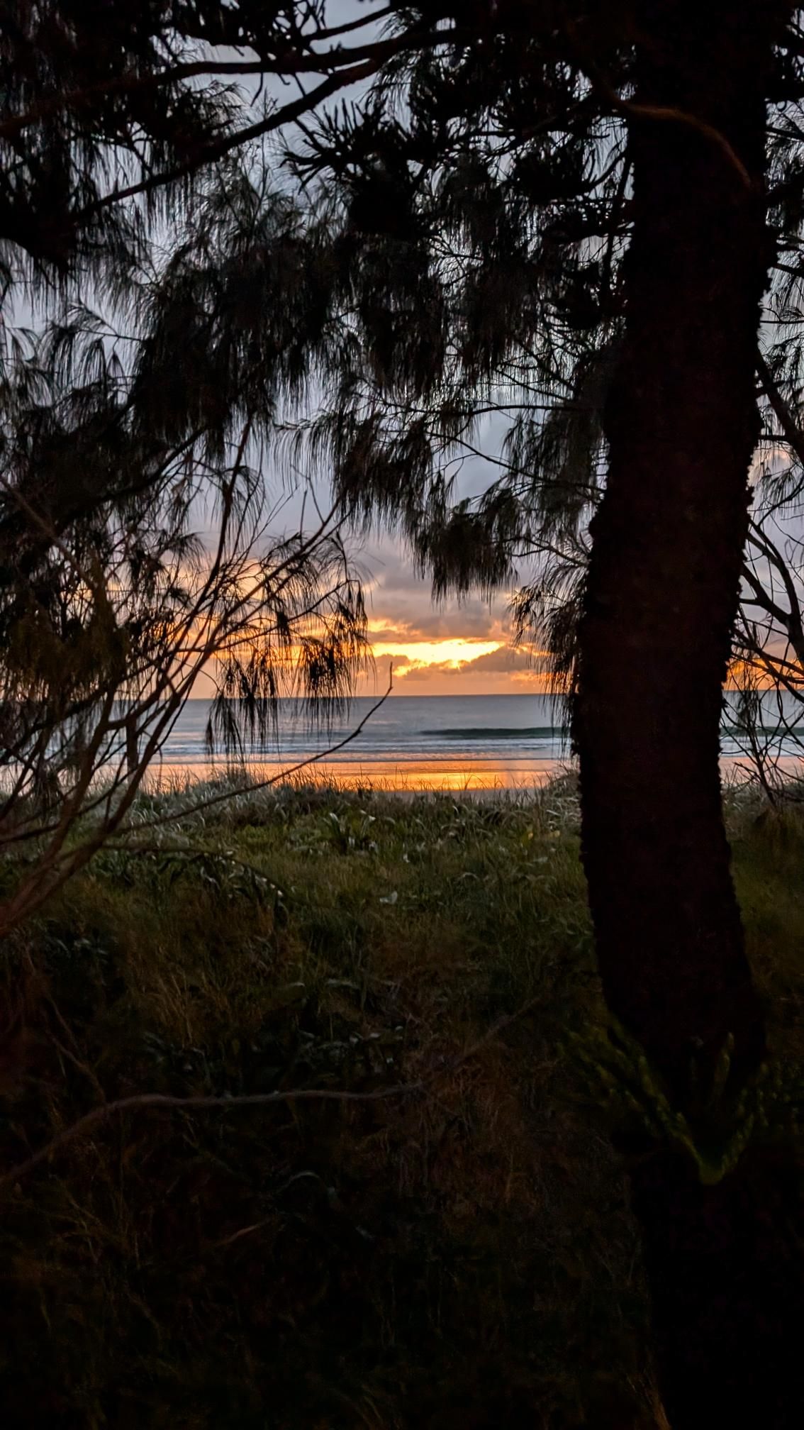 Andrey Tsoy | Strava Cyclist Profile