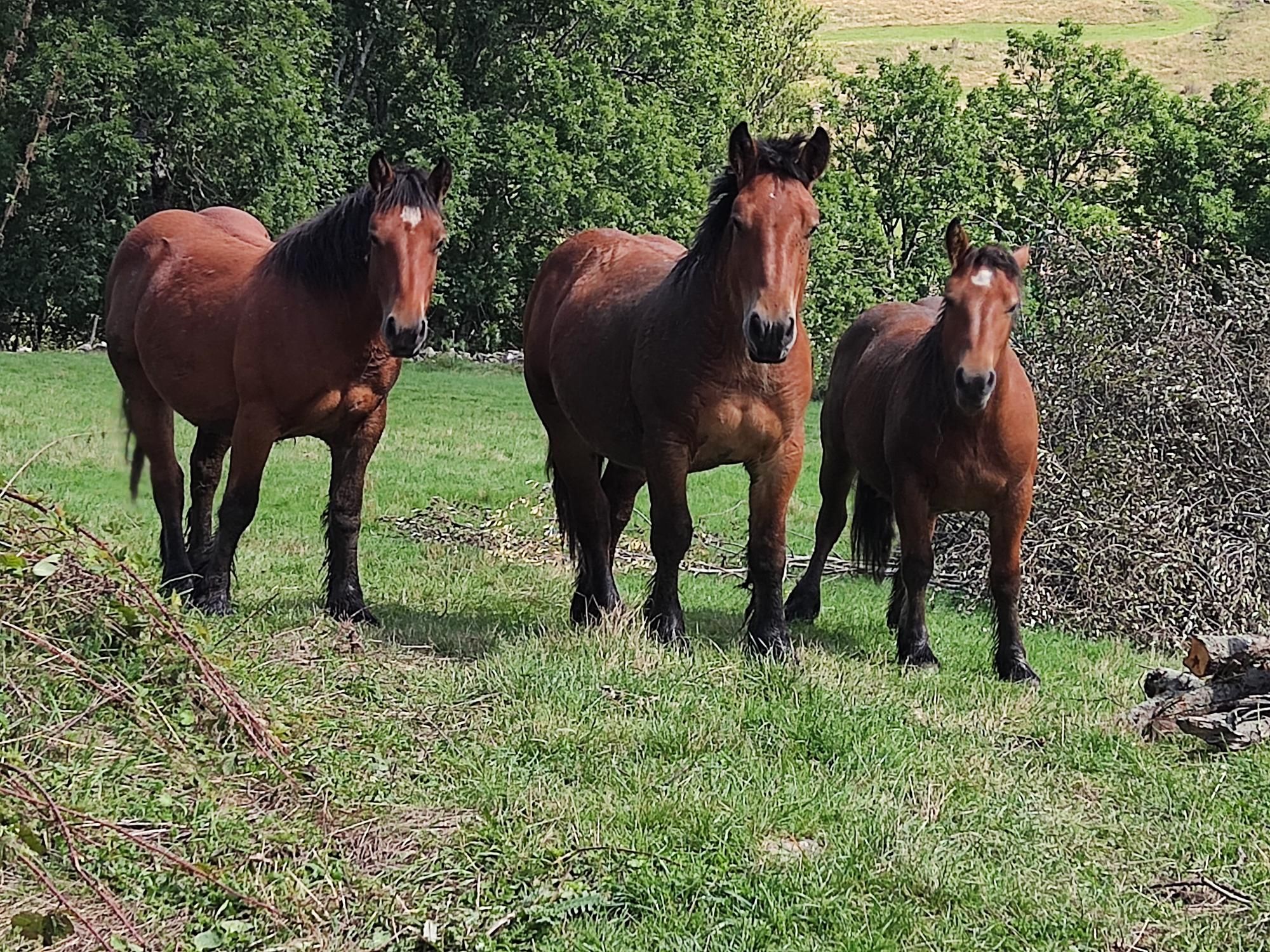 Javi Calvo | Strava Runner Profile