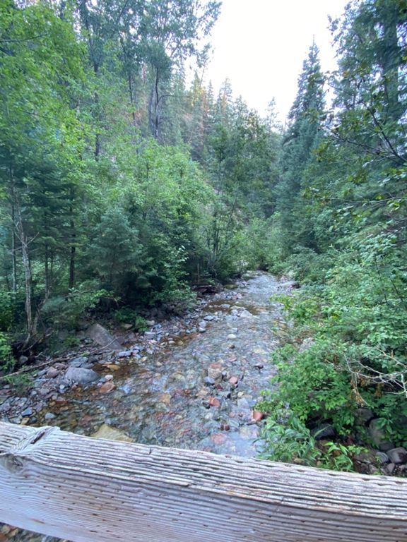 Gudy's Rest Out-and-Back | 5.5 mi Hiking Trail on Strava