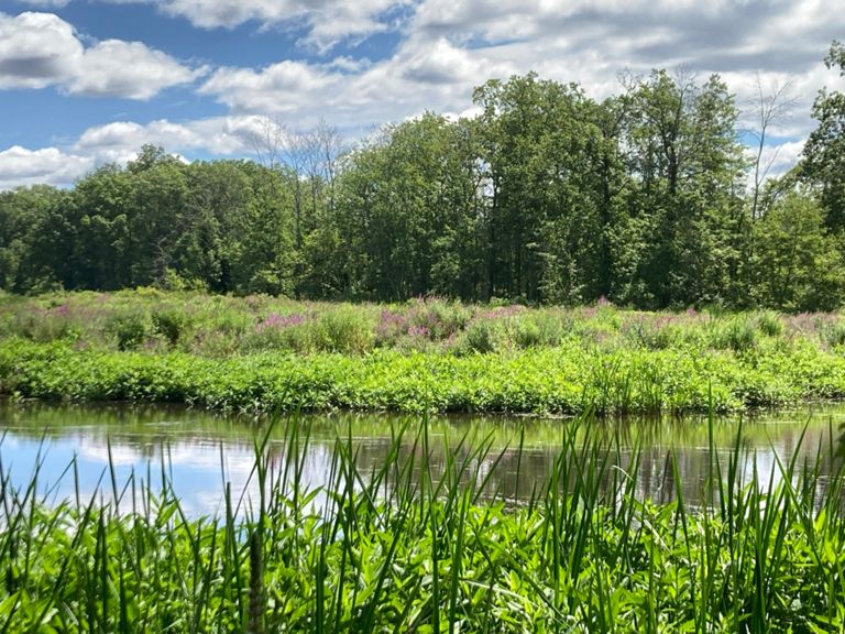 2024 AM:WATTS A/B Group (Swamp/Summit/Livingston) | 32.7 mi Cycling ...