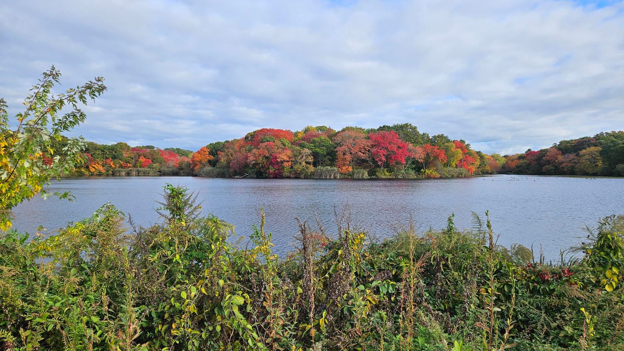 Anson Wai | Strava Cyclist Profile