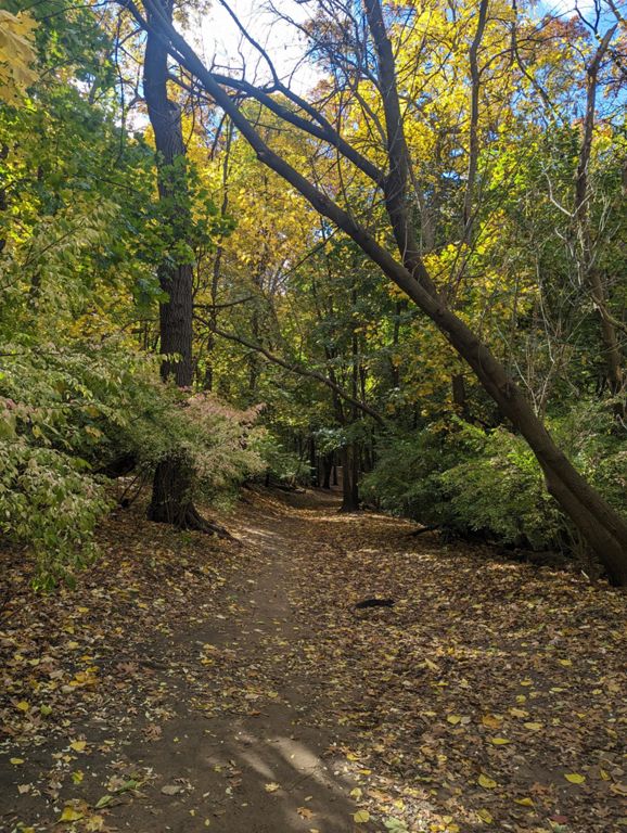 BT LR - High Park Loop (MT) | 25.5 km Running Route on Strava