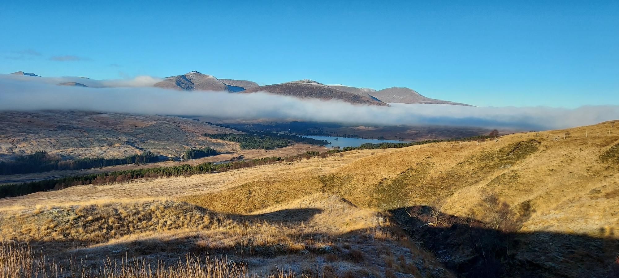 Clark Findlay | Perfil de corredor de Strava