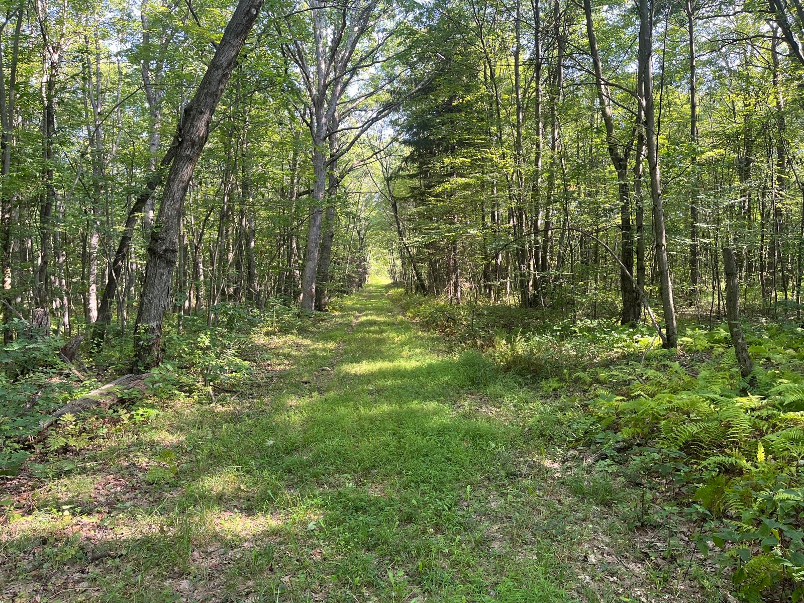 Geoff Patterson | Strava Cyclist Profile