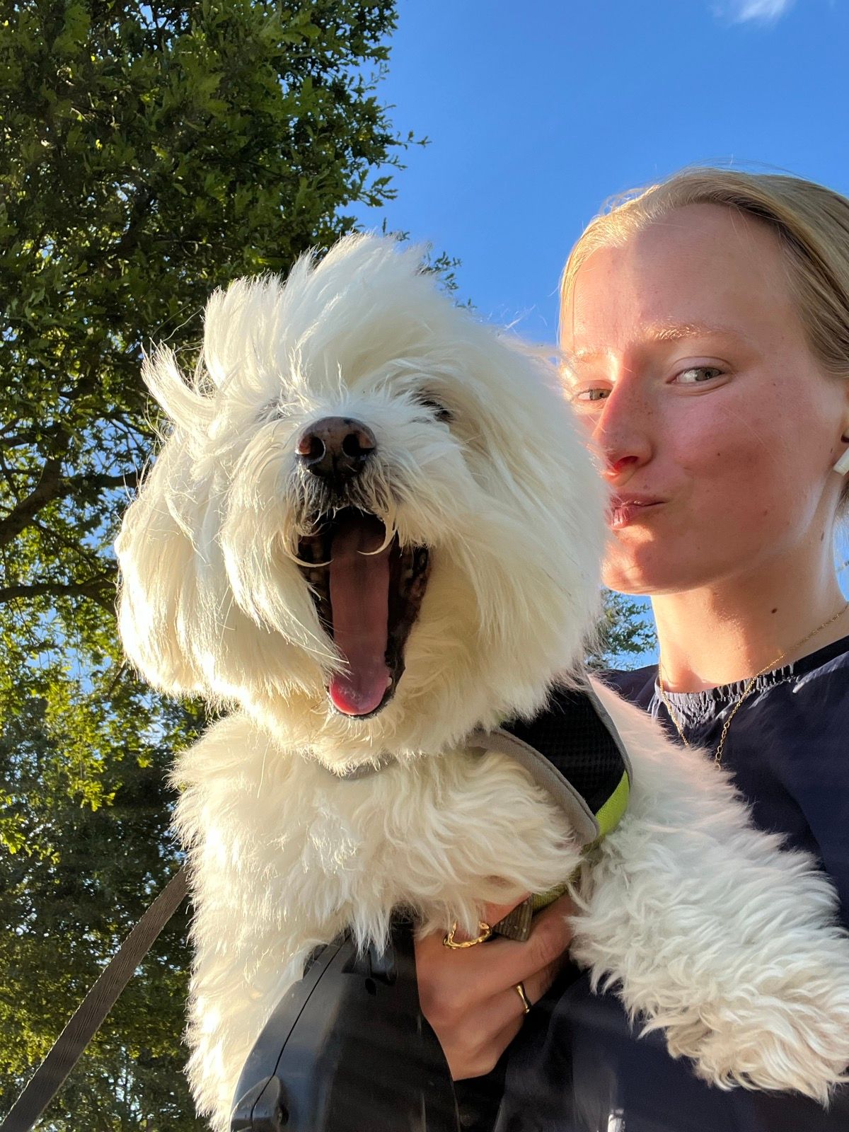 Eva Verschaeve | Strava Runner Profile