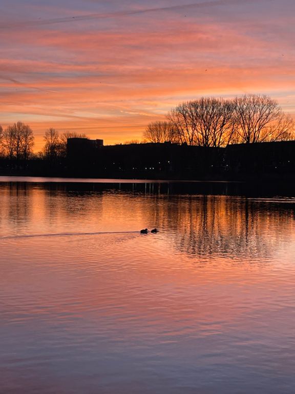 Paulus | 16.0 km Cycling Route on Strava