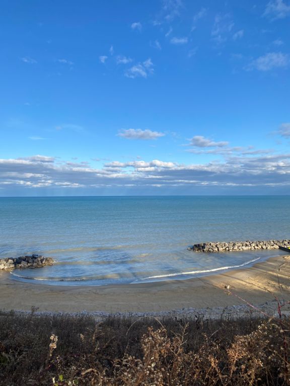 TLEN Tala Coffee Ride ☕️ 2022 | 39.1 mi Cycling Route on Strava