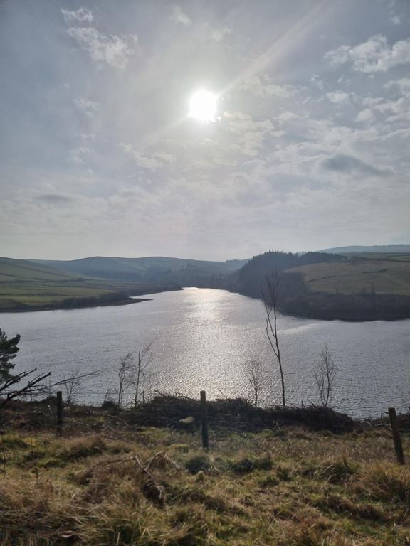 Richard & Ann Oakes Stone | 12.8 km Running Route on Strava