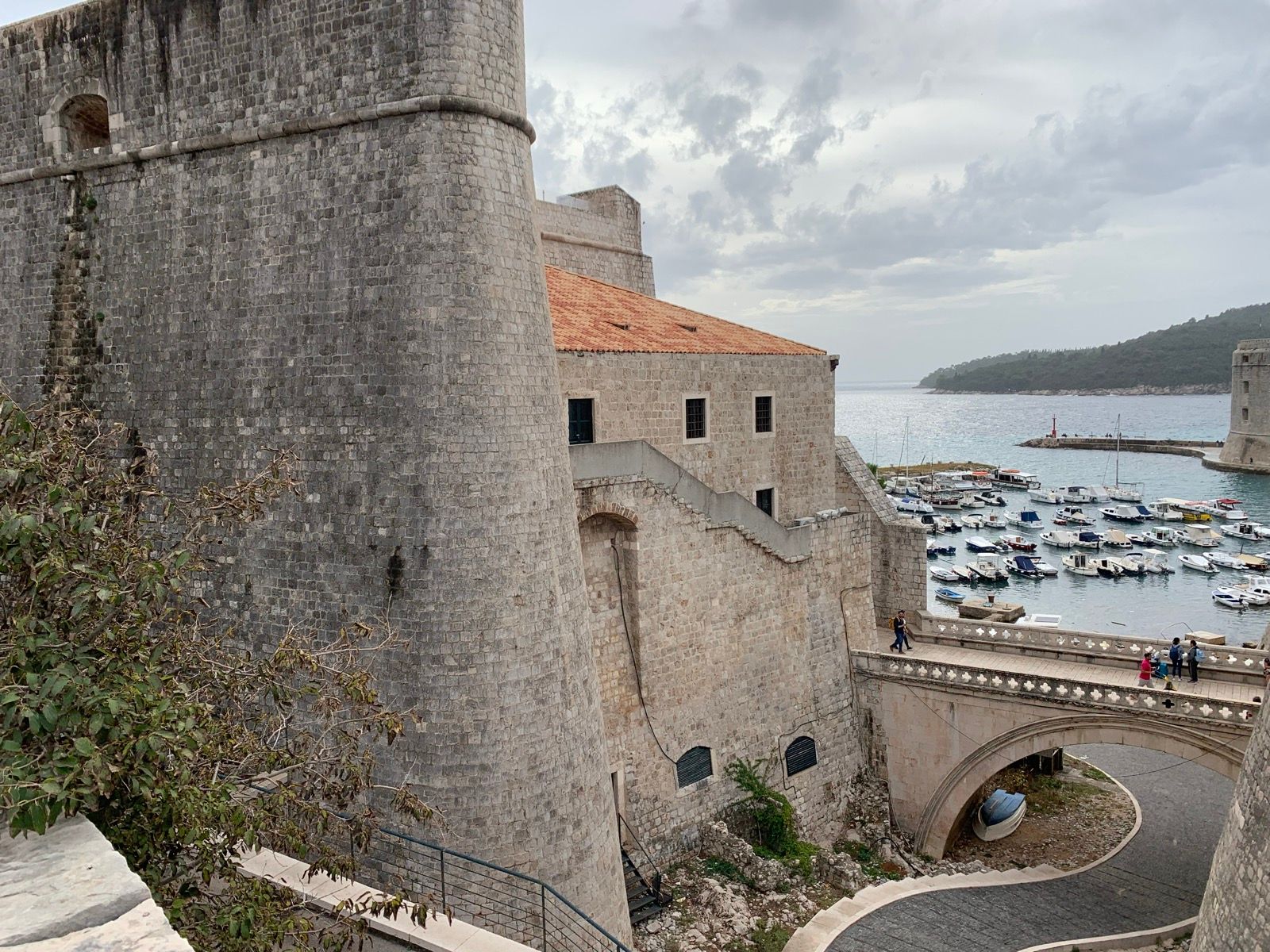 Erin Hendricks | Strava Runner Profile