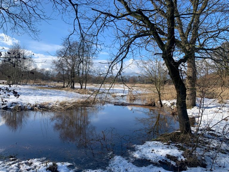 Rondje Assen | 51.9 km Cycling Route on Strava