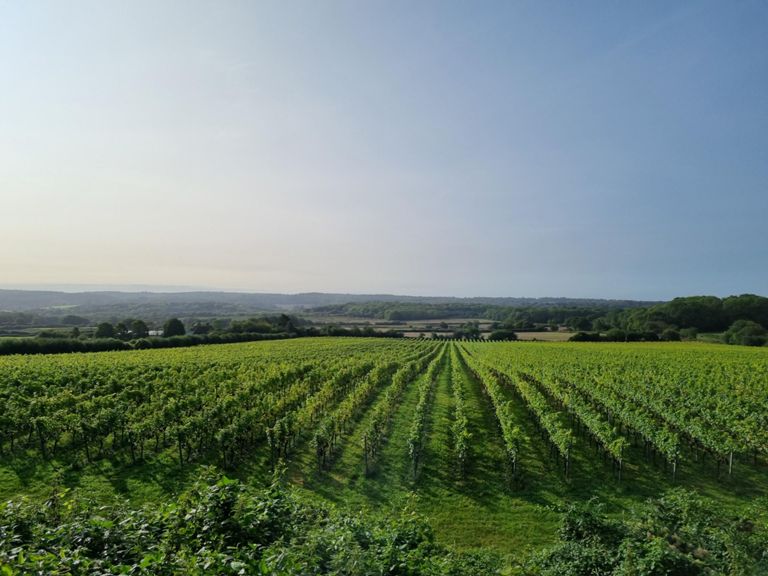 Velo Barn | 41.5 mi Cycling Route on Strava