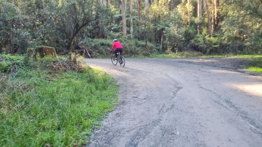 Mount Dandenong Loop | Strava