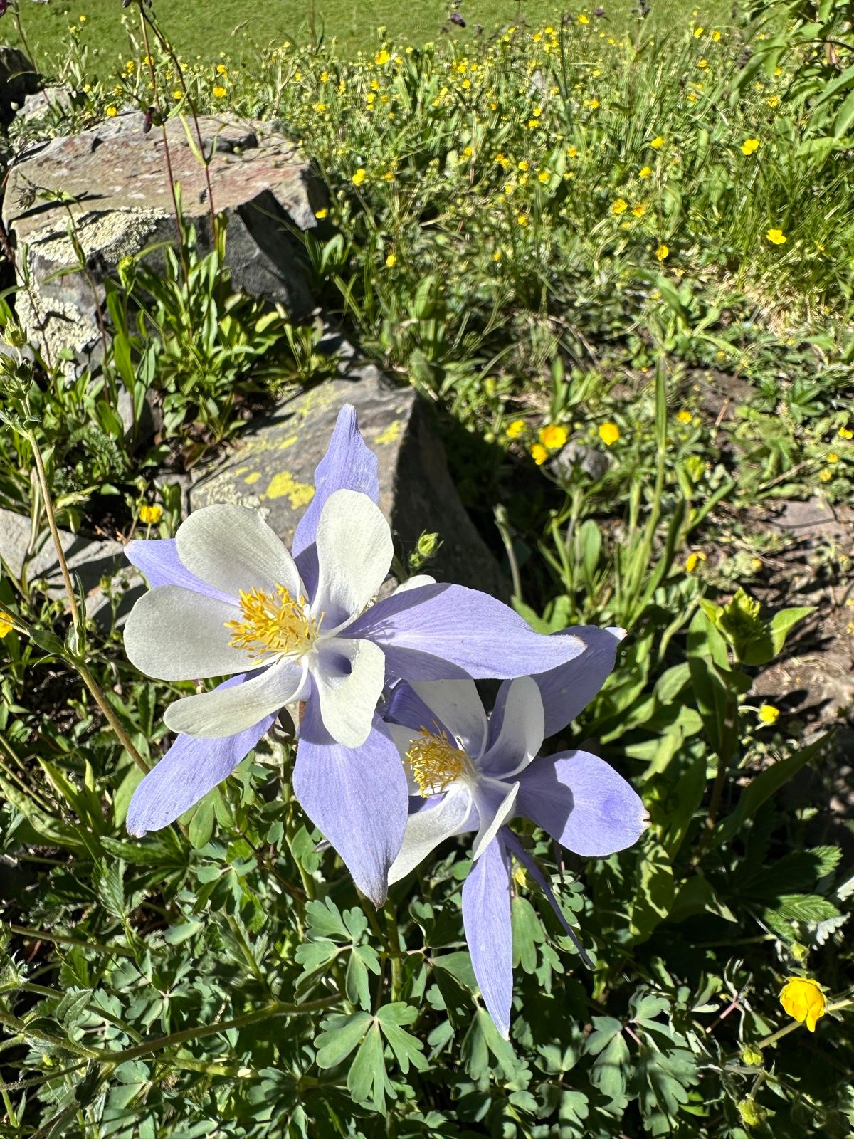 David Crockett | Strava Runner Profile