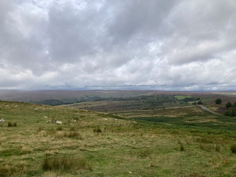 Mortimer Road | 3.8 km Cycling Route on Strava