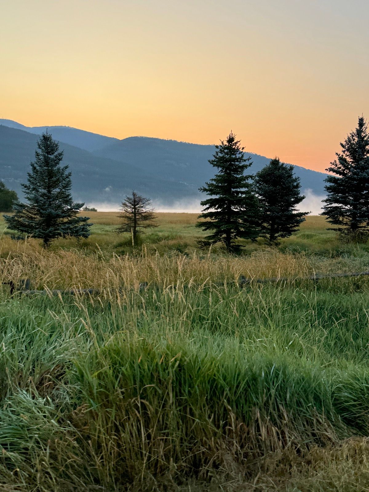 Rob Flournoy | Strava 自行車手的個人檔案