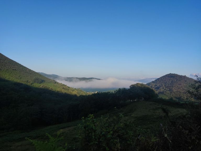 Morning Trail Run | 19.3 km Trail Running Route on Strava