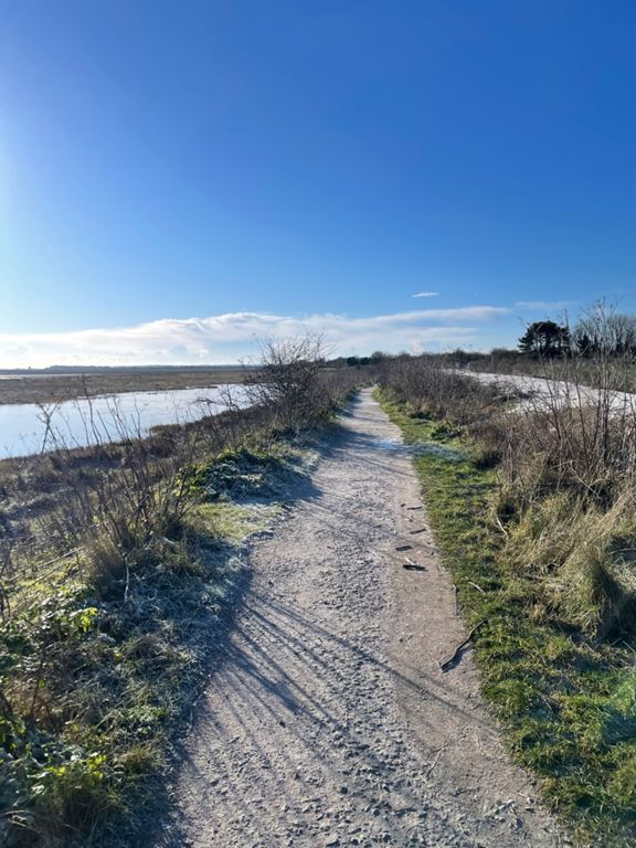 50 mile loop | 50.4 mi Cycling Route on Strava