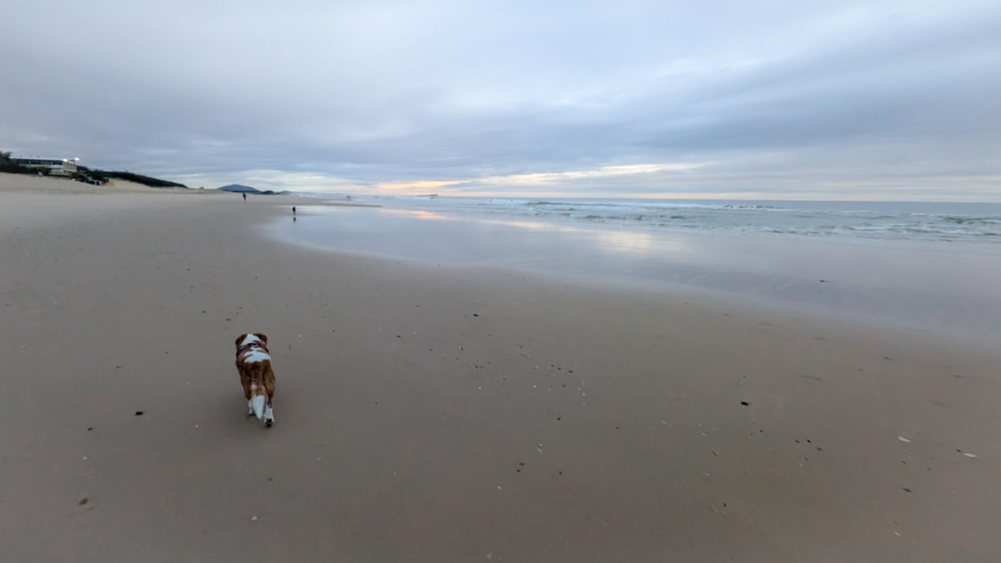 Gill Griffiths | Strava Runner Profile