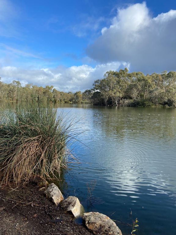 Verdun April 2023 | 55.0 km Cycling Route on Strava