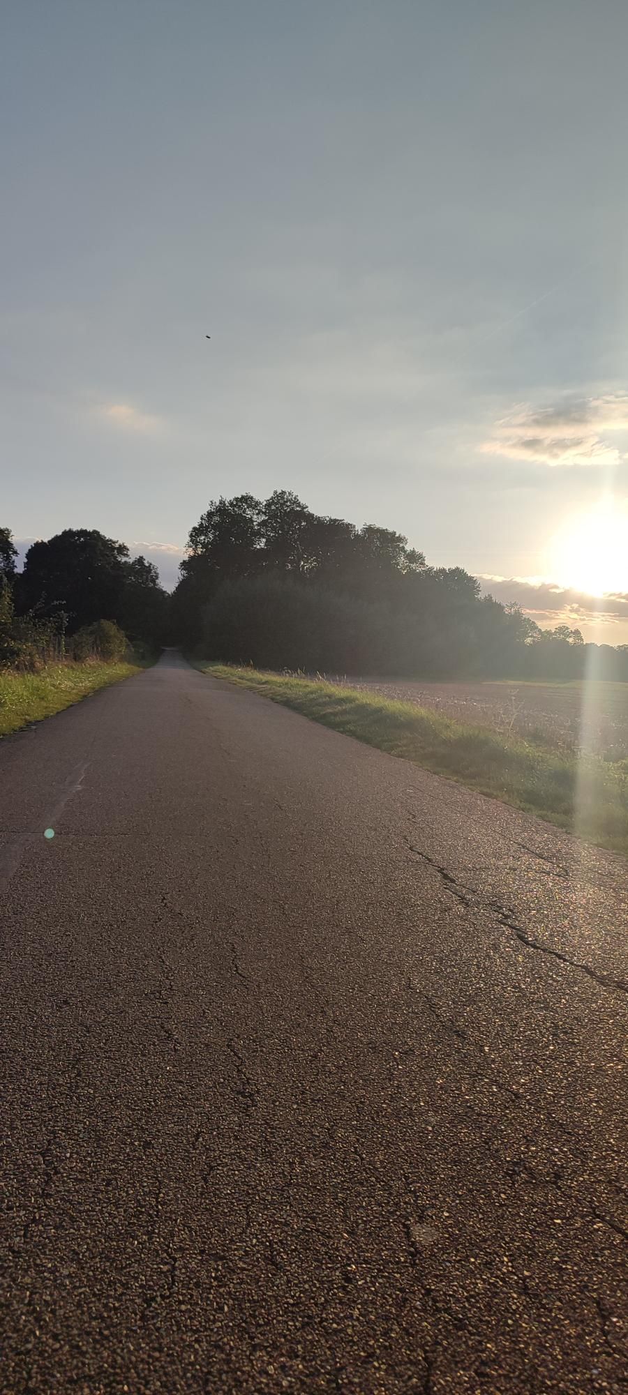 Romain Collignon | Strava Cyclist Profile