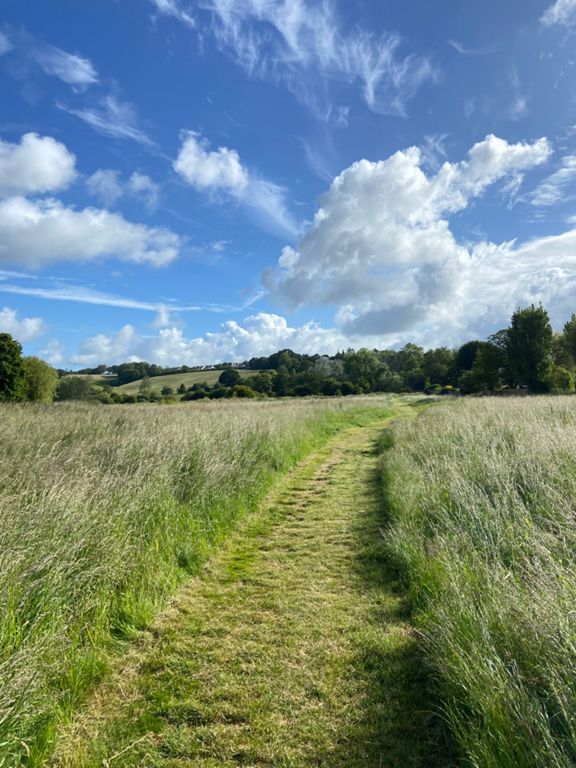 The Hub , Bodiam | 68.6 mi Cycling Route on Strava