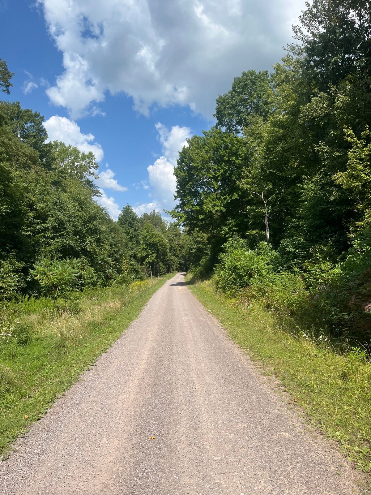 Geoff Patterson | Strava Cyclist Profile