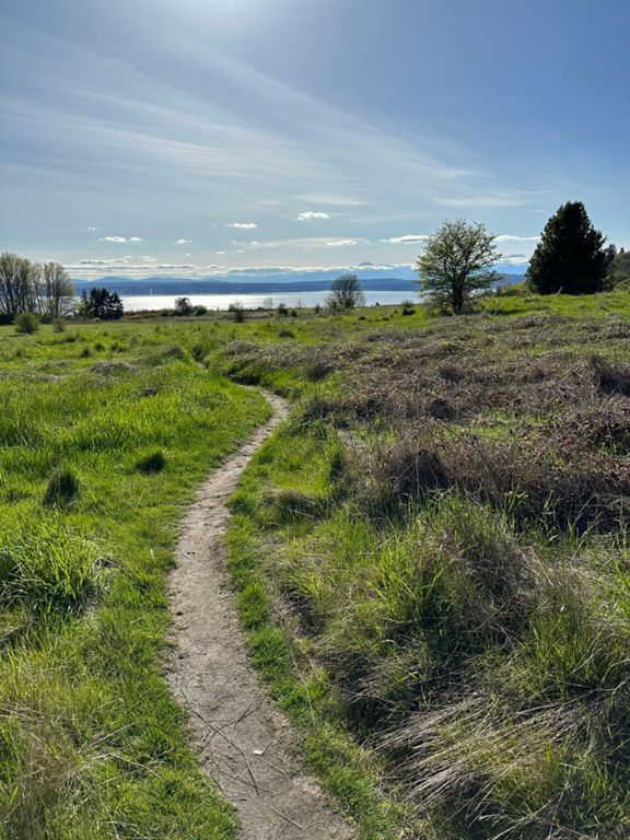 Locks -> Outer Mongolia -> Disco | 7.0 mi Running Route on Strava