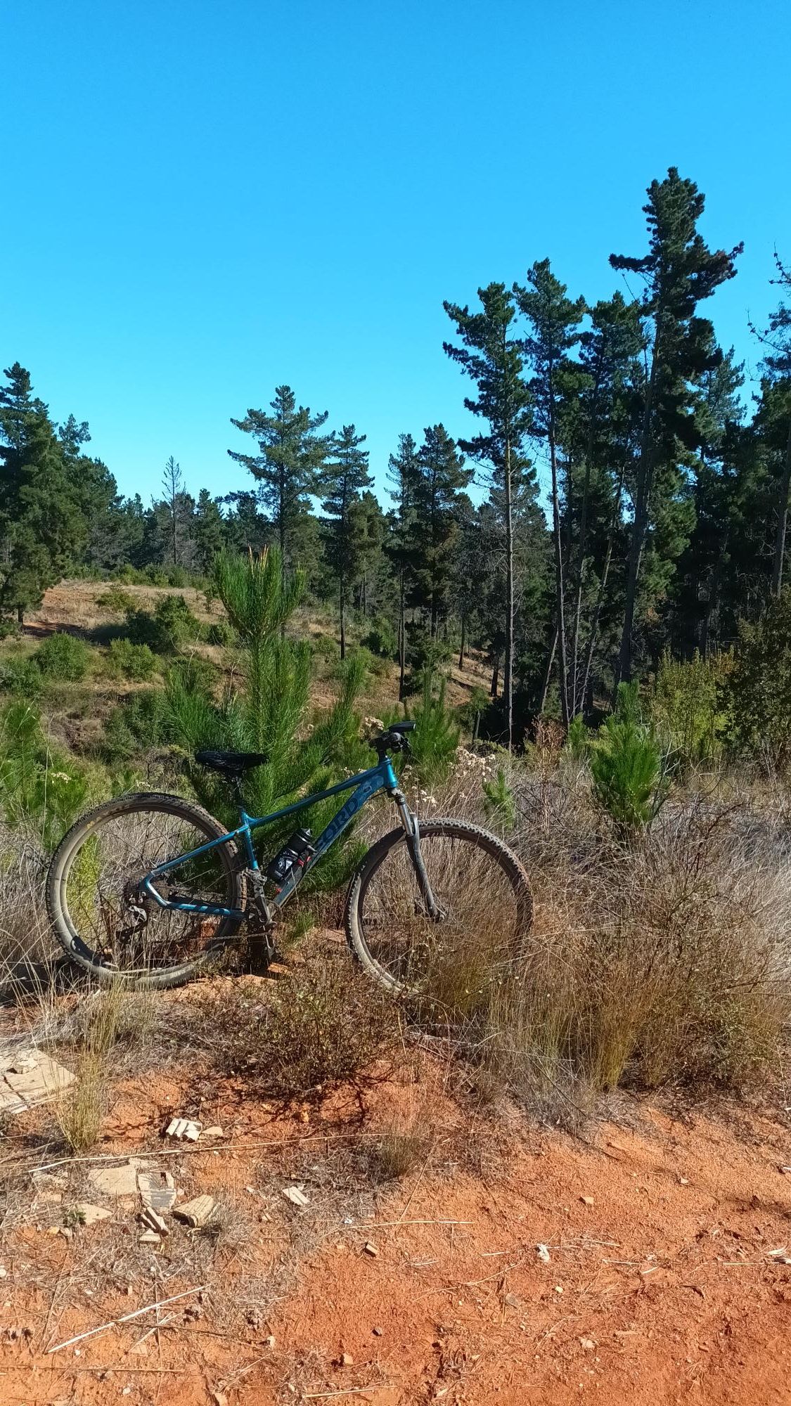 Gabriel Bobadilla | Strava Cyclist Profile