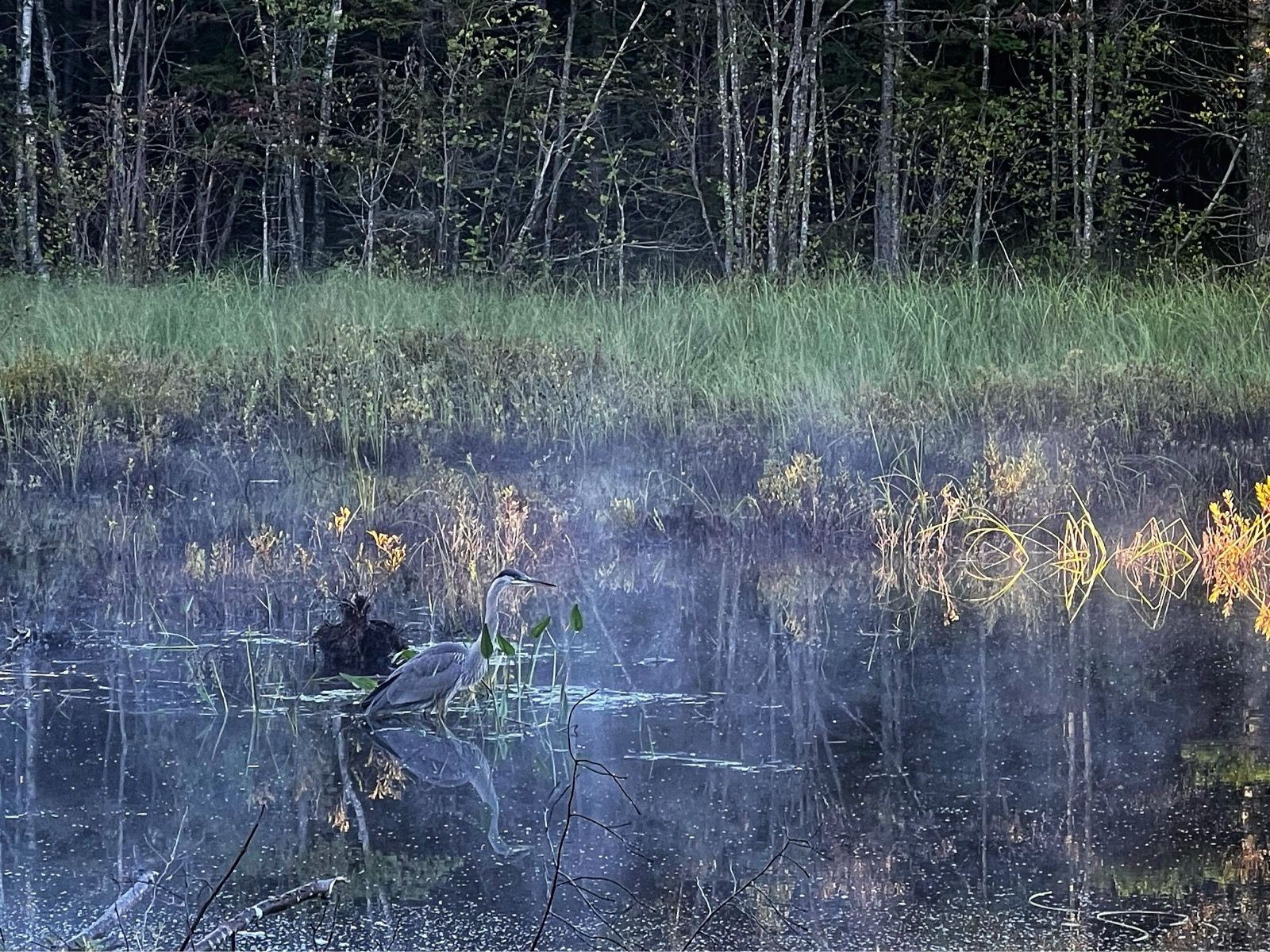 Jeff Butterfield | Perfil de ciclista de Strava