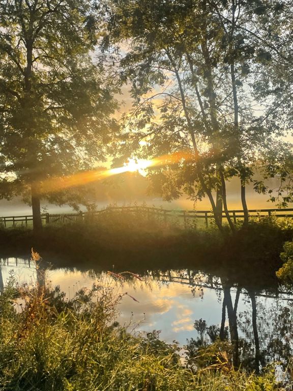 Teddy Hall Relays Course | 7.0 km Running Route on Strava