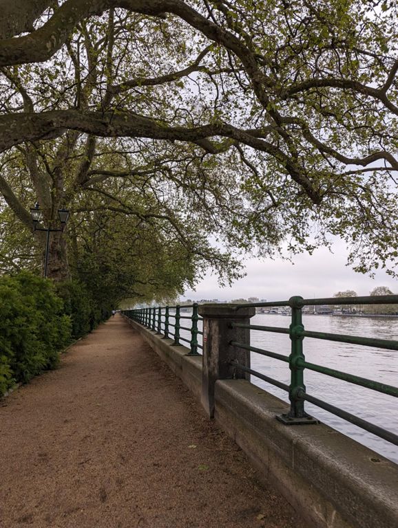 To the Thames and Back | 2.9 km Running Route on Strava