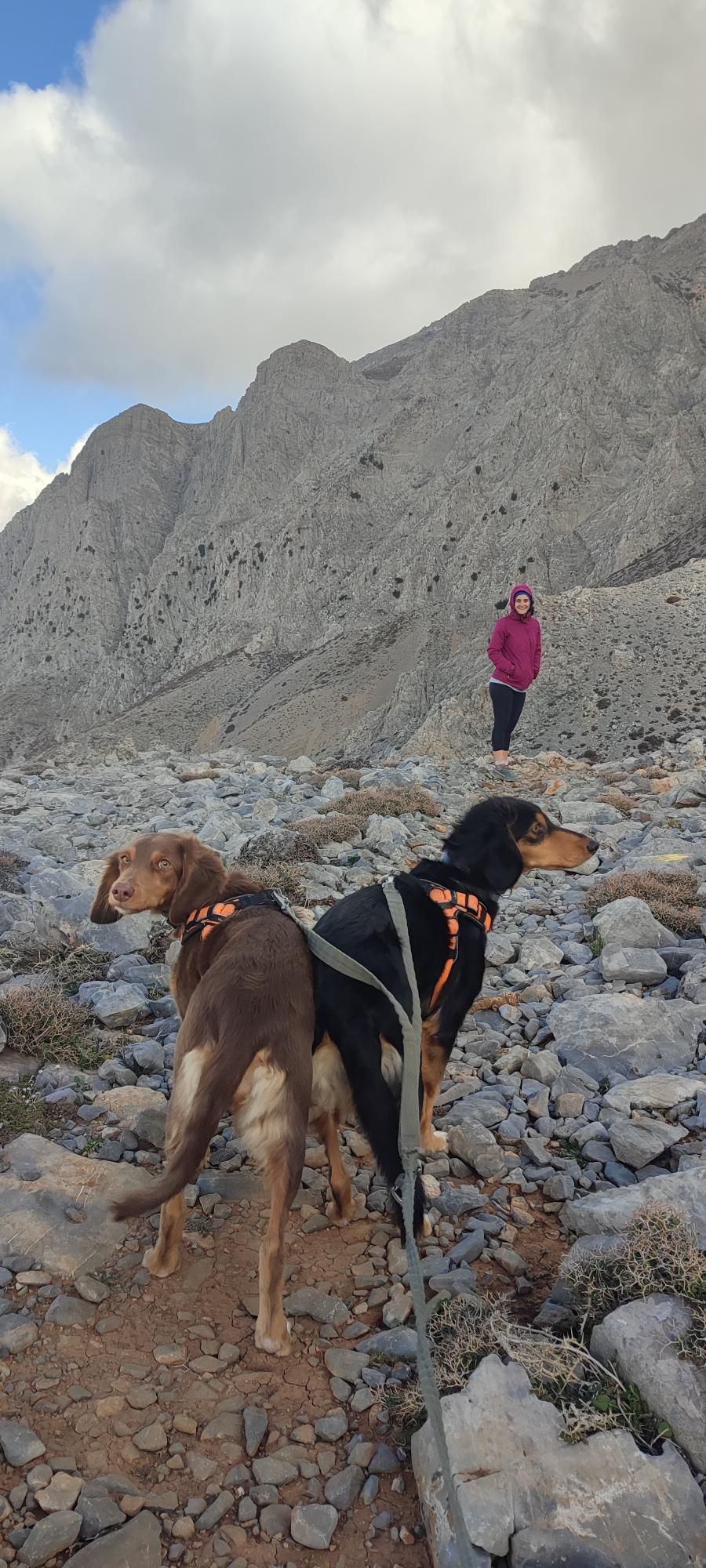 BELENIOTI MARIA | Strava Runner Profile