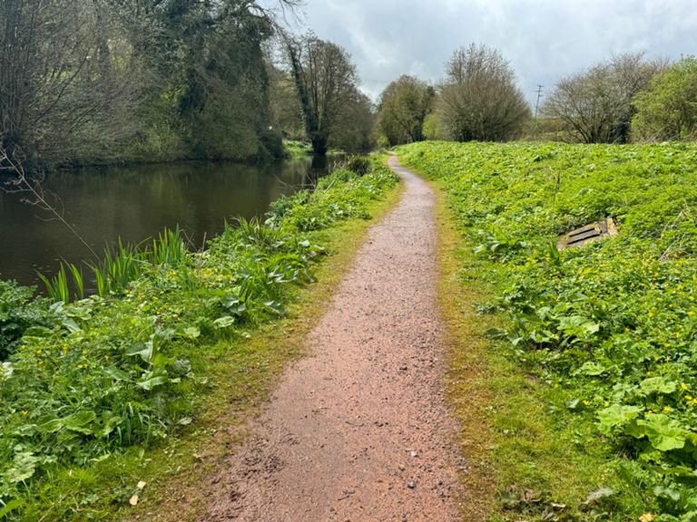 North Somerset Coast | 100.6 mi Cycling Route on Strava