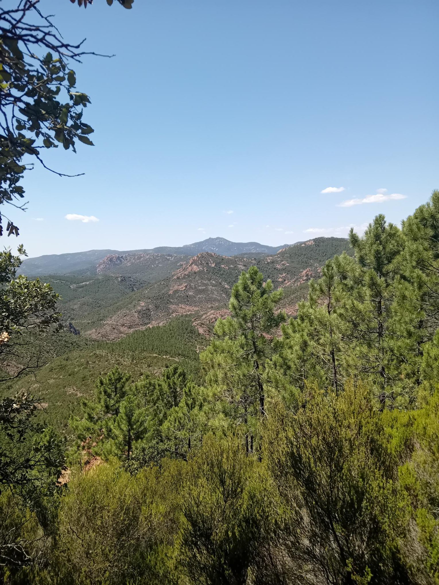 Stéphane Legay | Perfil de corredor de Strava