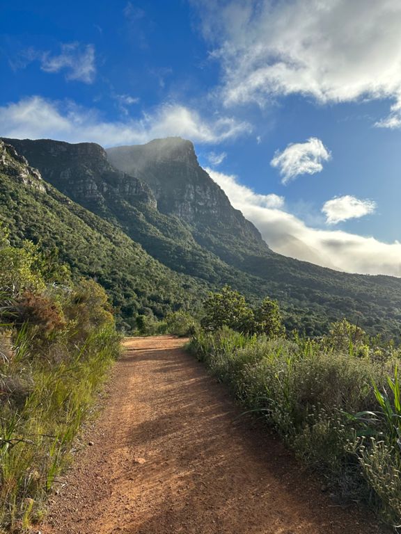 Rooster run Disa edition | 12.7 km Trail Running Route on Strava